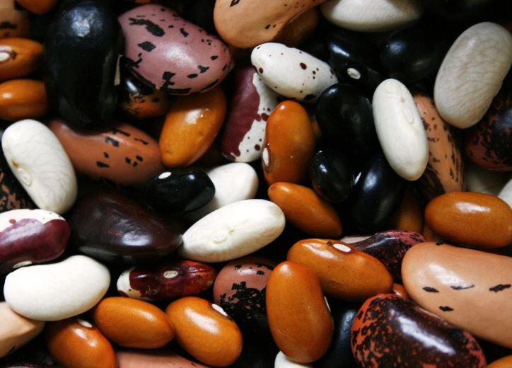 Dream about eating beans: 18 main meanings explained – Dream Judgment